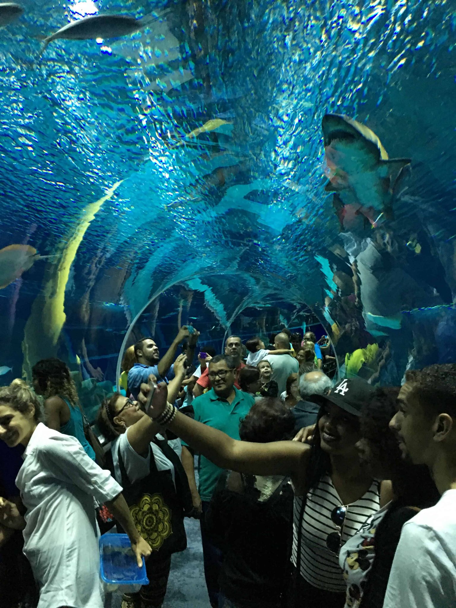 Porto Maravilha, RJ: 7 atrações que valem a pena - Ares do Mundo