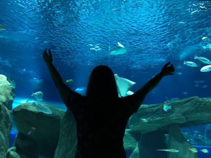 Porto Maravilha, RJ: 7 atrações que valem a pena - Ares do Mundo